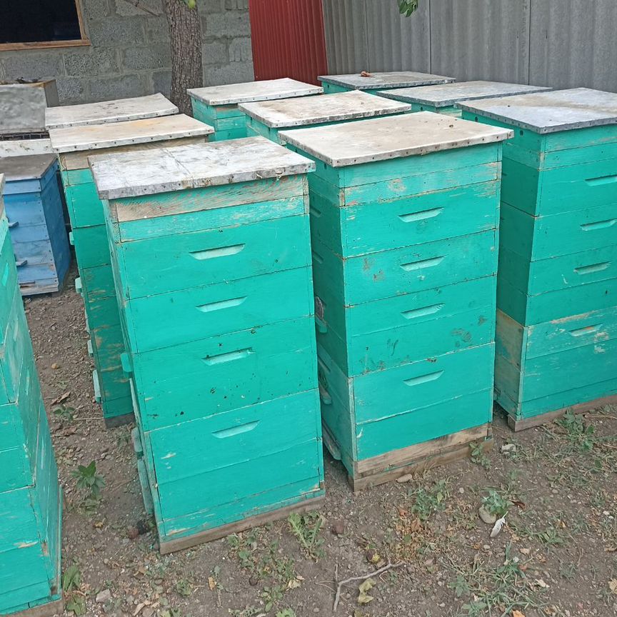 Улики для пчел