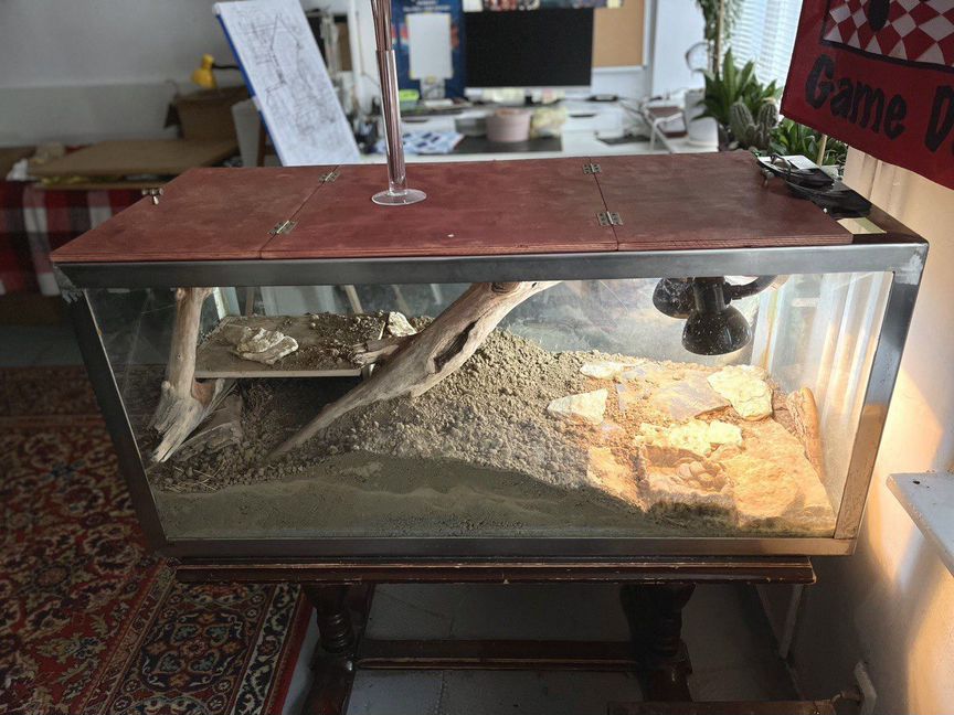 Террариум для рептилий