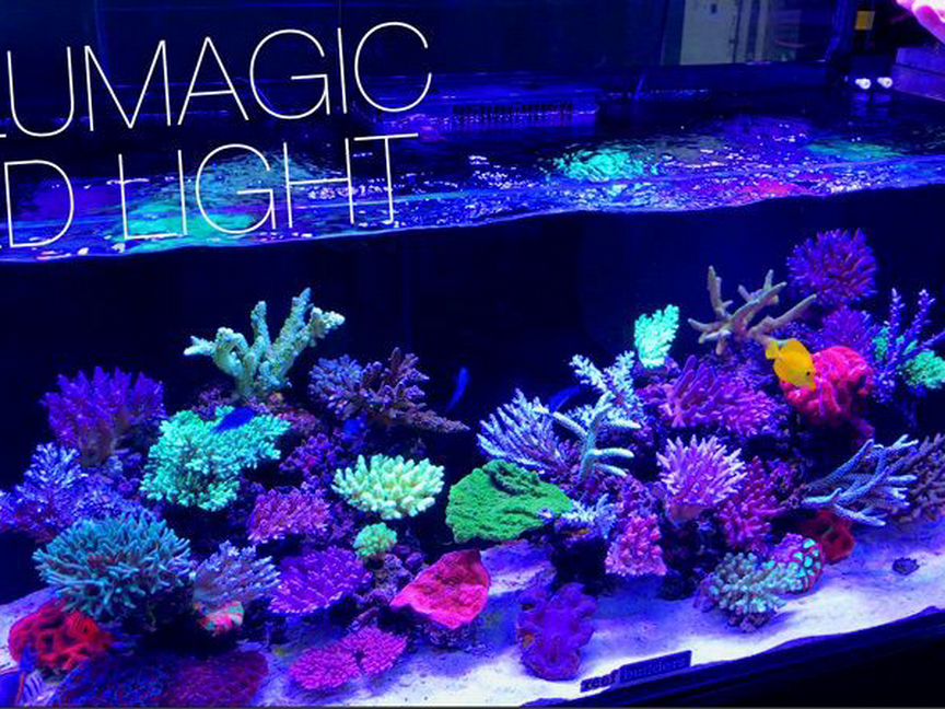 Illumagic Pixel. Светильник для морского аквариума