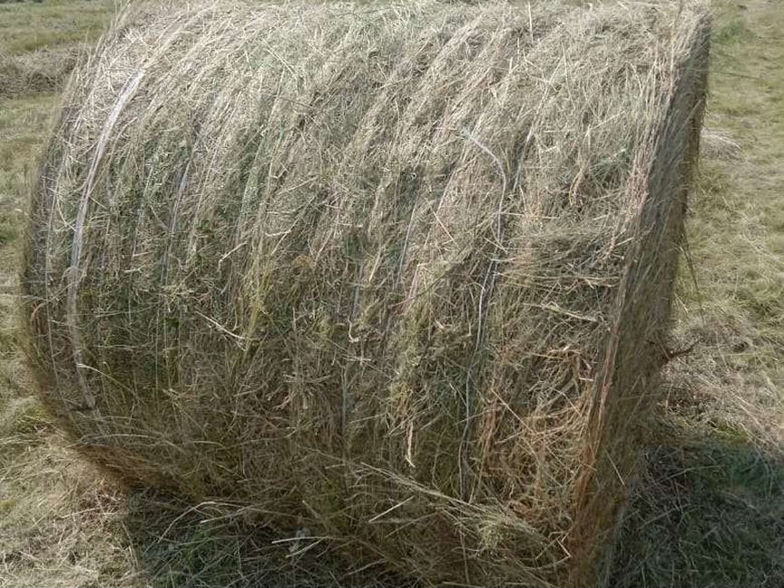 Сено луговое в рулонах