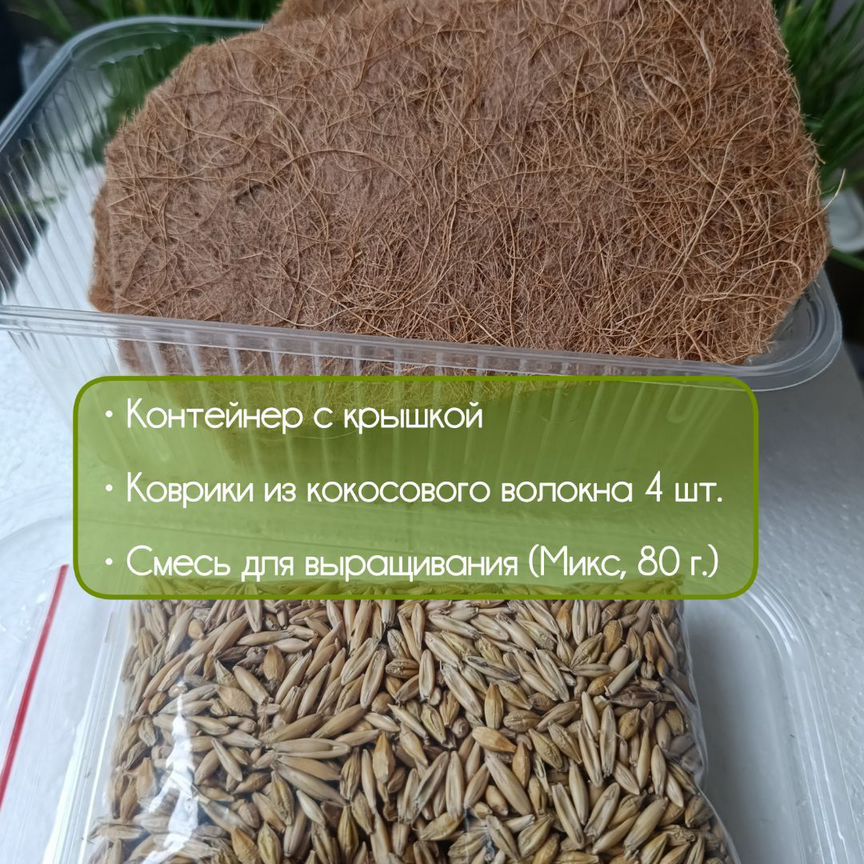 Трава для животных набор