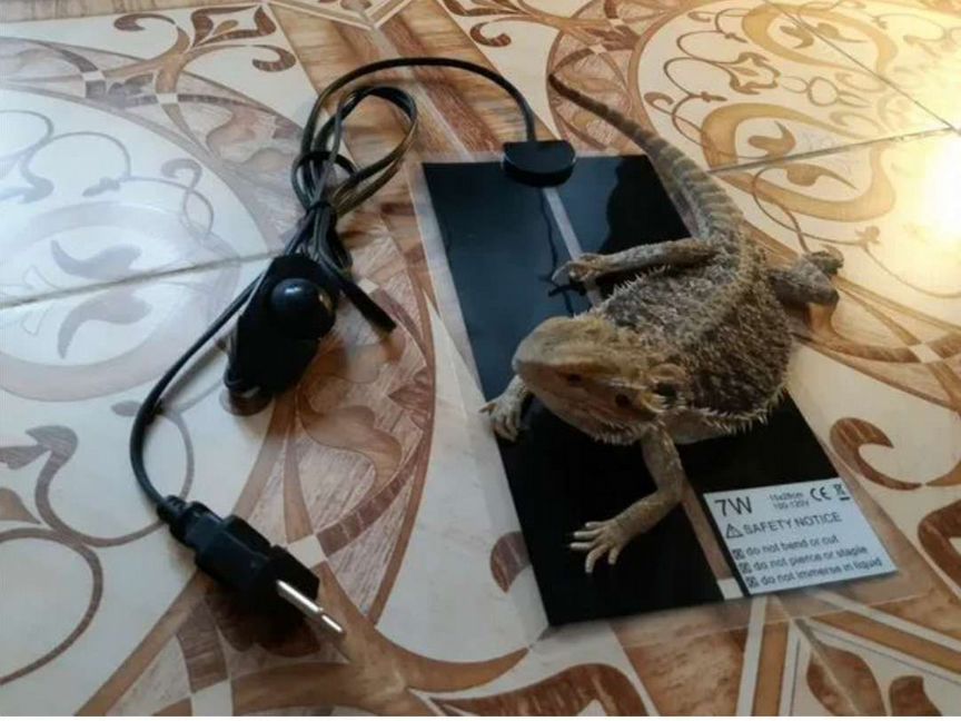 Термоковрик для рептилий