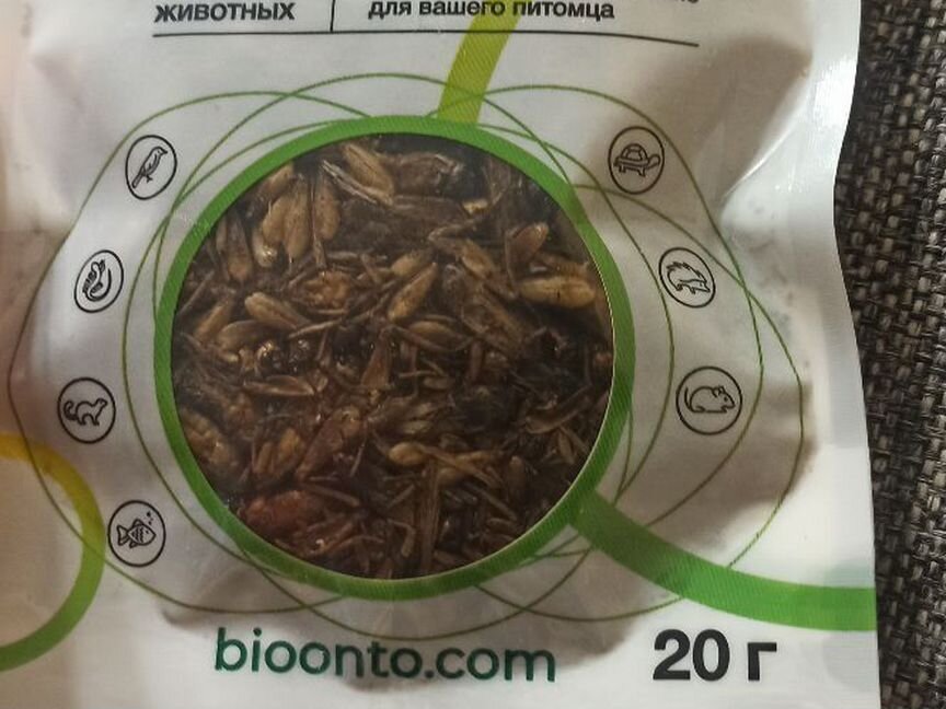 Сверчок сушенный. Корм для животных