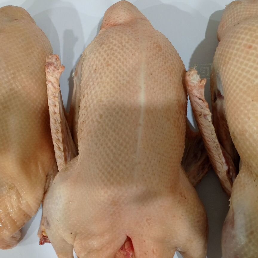 Тушки гусей