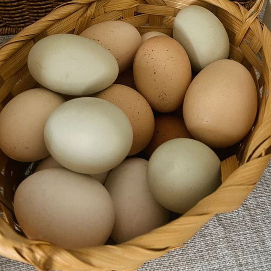 Домашние куриные яйца