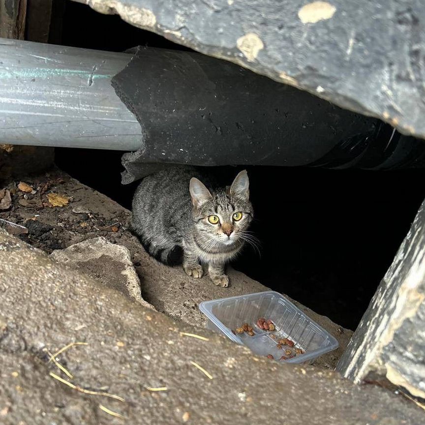 Очаровательная девочка ждет Ма и Па