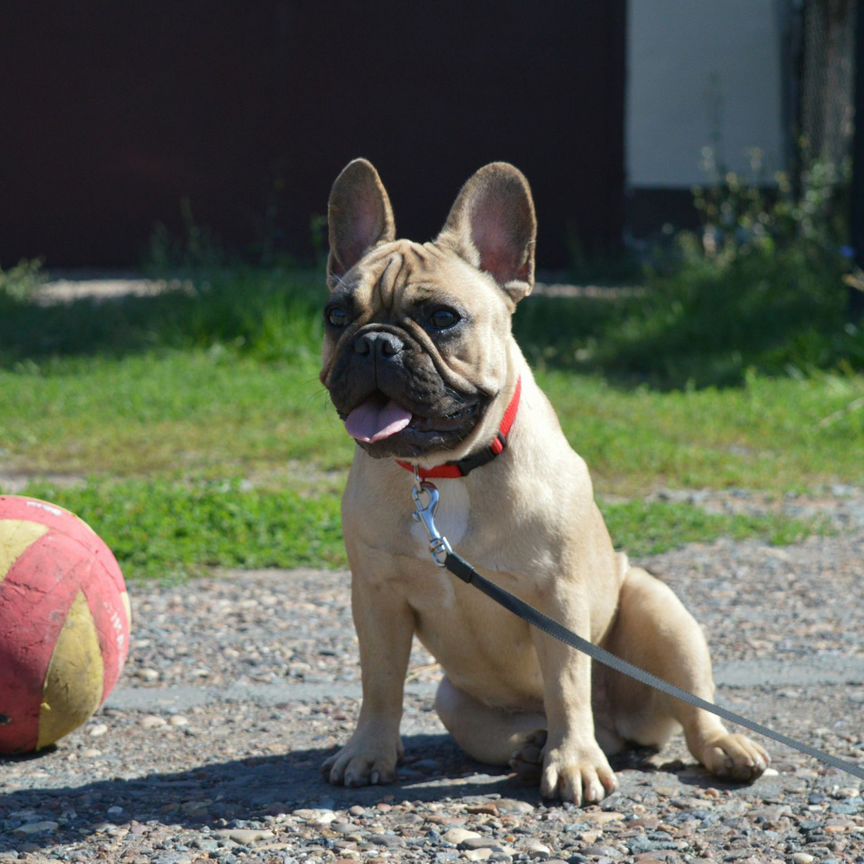 Две обаятельные девочки, 8 месяцев