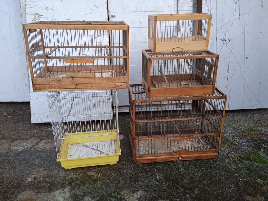 Клетки для птиц