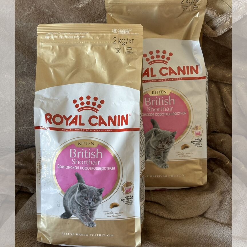 Корм для кошек royal canin