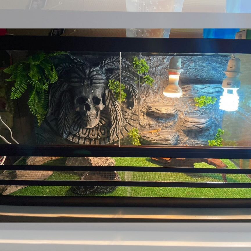 Фон в террариум