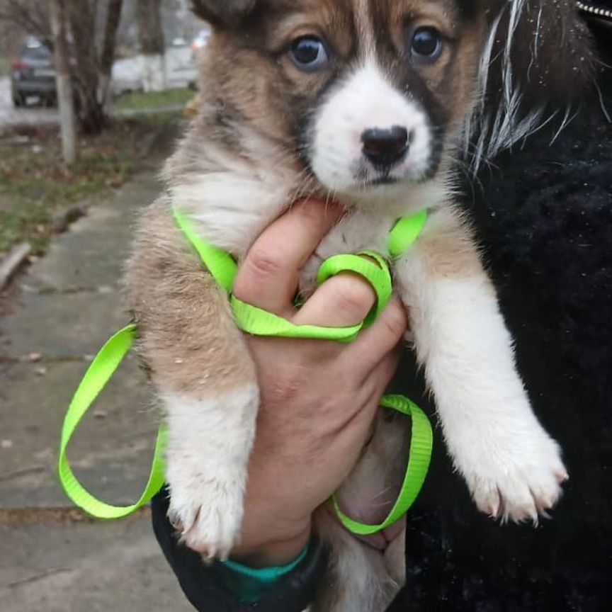 Маленькая плюшечка Наташа