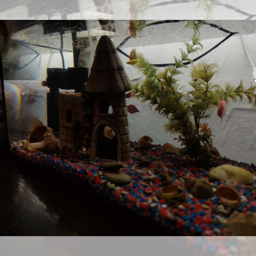 Аквариум 60л