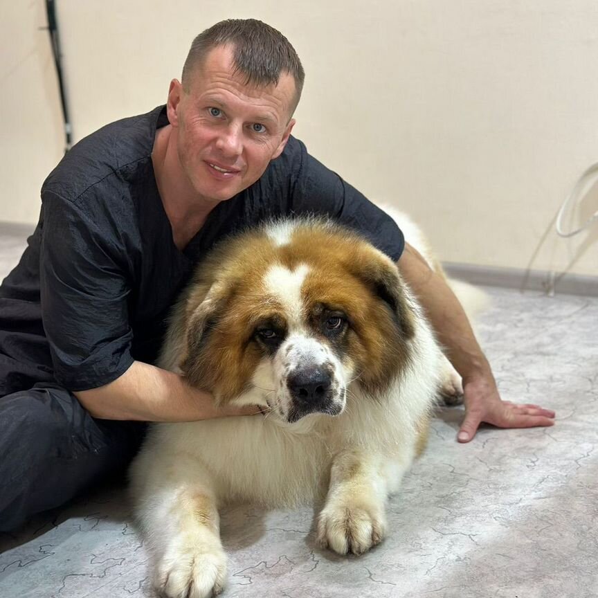 Отдам собаку в добрые руки