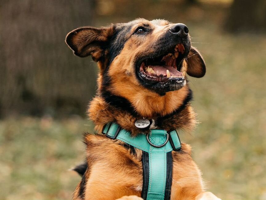 Красавчик Брэдли, почти Купер)