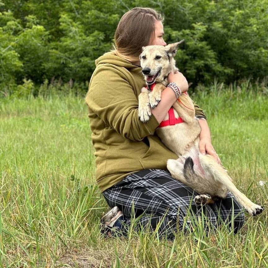 Чук очень ищет добрые руки