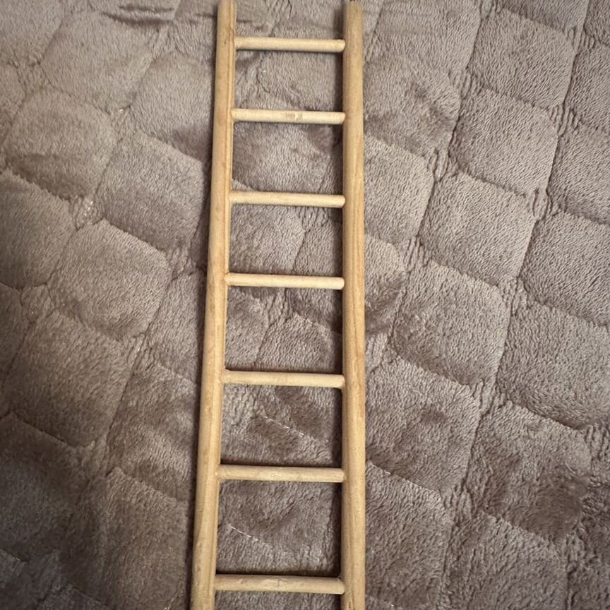 Лестница для птиц