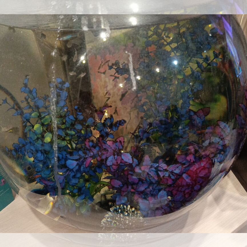 Аквариумные рыбки