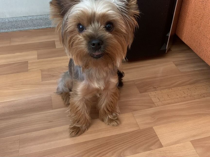 Ищем невесту, мальчик красавчик, 1,2