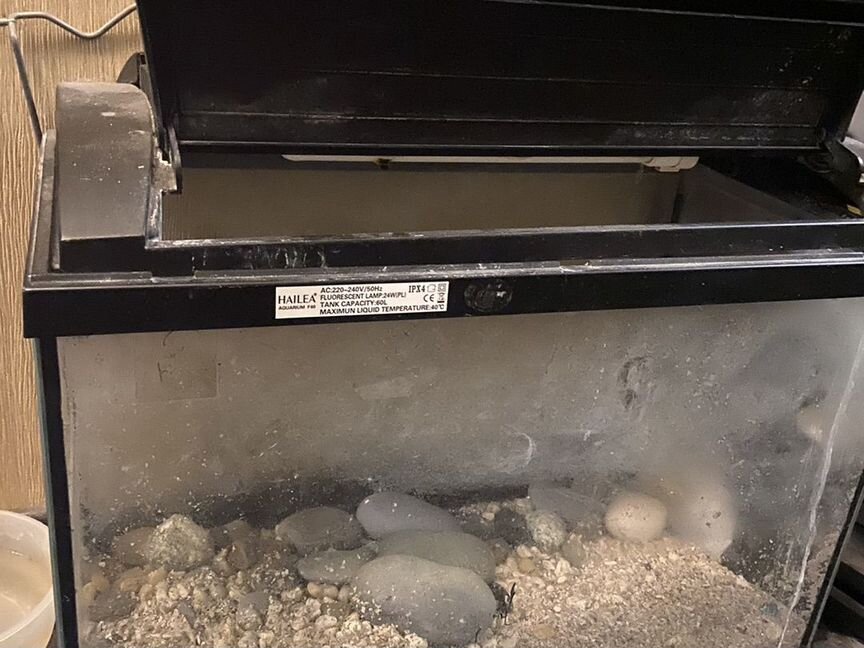 Аквариум Террариум 60л 58х30х41см самовывоз