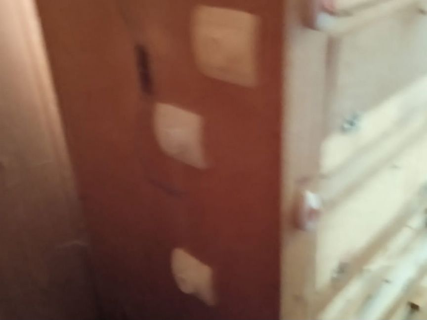 Брудер для перепелов