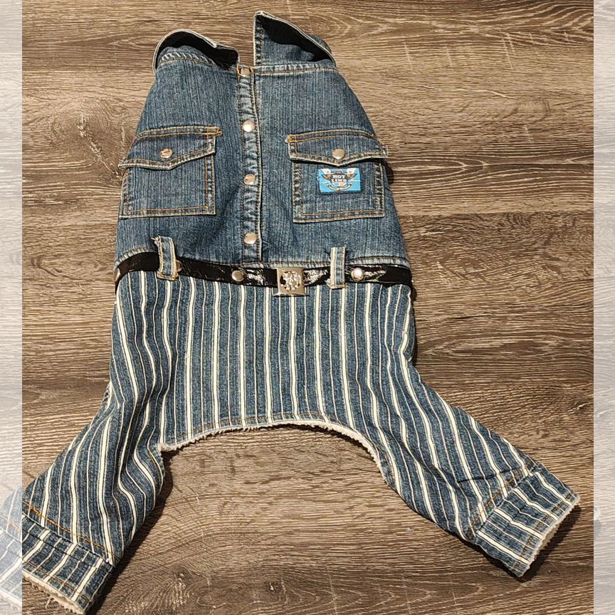 Одежда для собак мелких пород