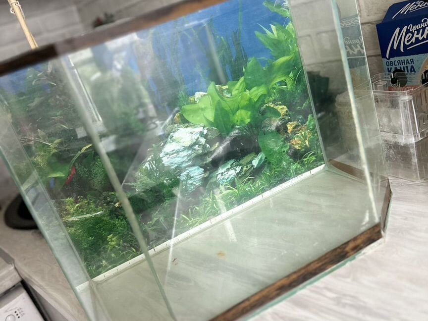 Аквариум 20л