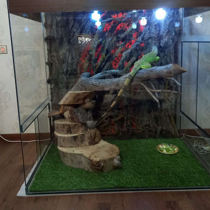 Террариумы для рептилий