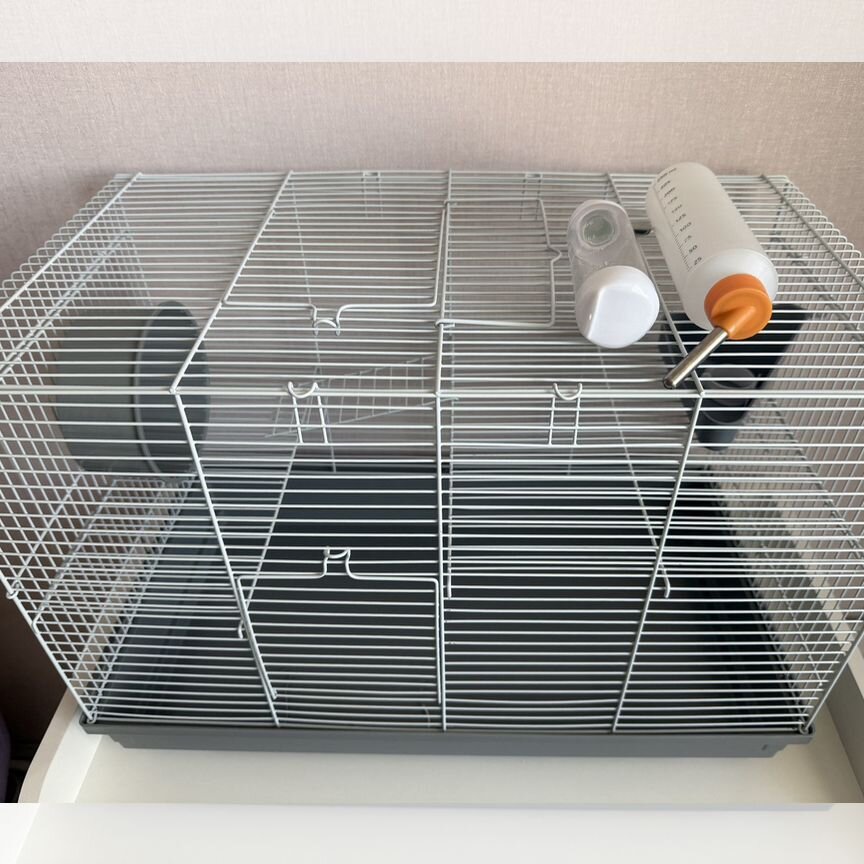 Клетка для грызунов, корм, лакомства, гамоки