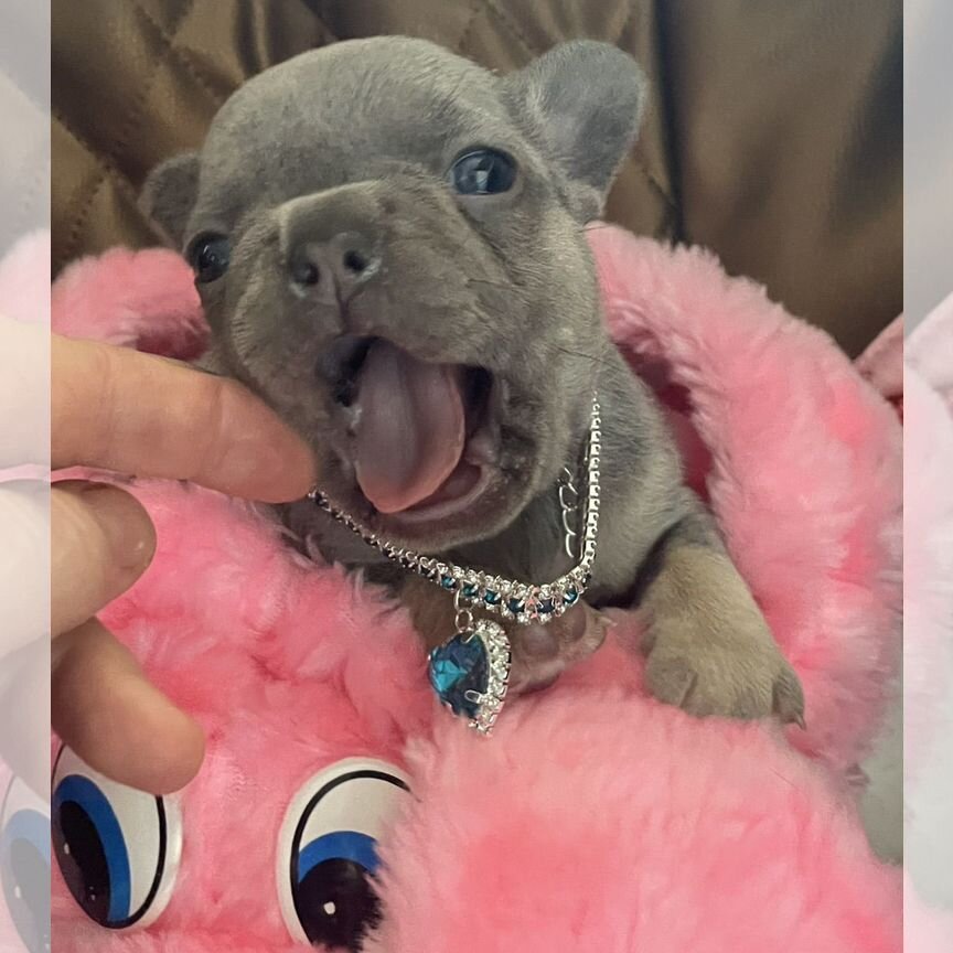 Лиловая девочка 1 месяц