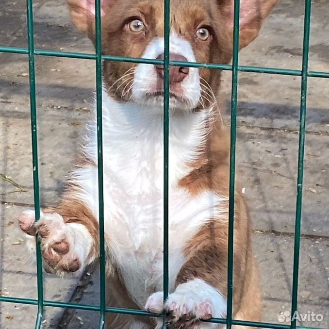 Джеки Чан и Космос