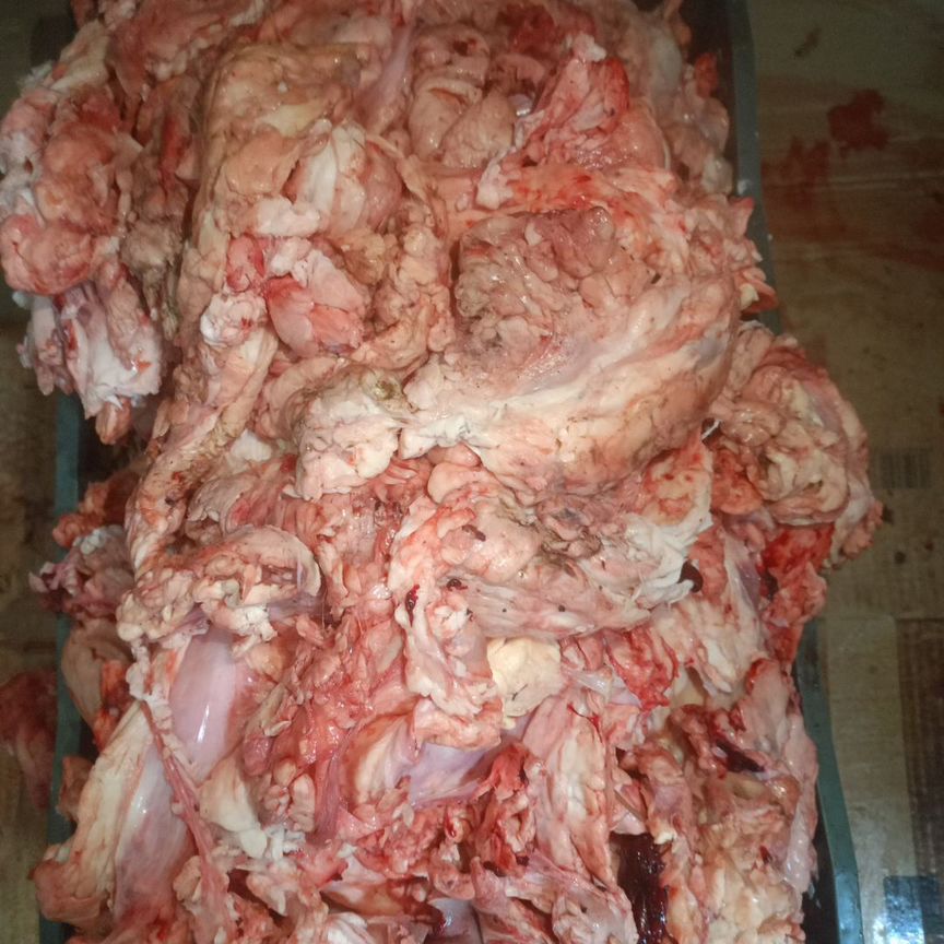 Жир говяжий