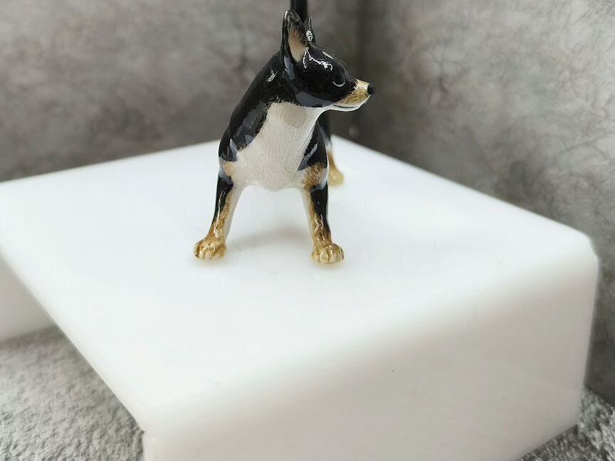 Собака Чихуа черный. Миниатюра. Клима. Франция