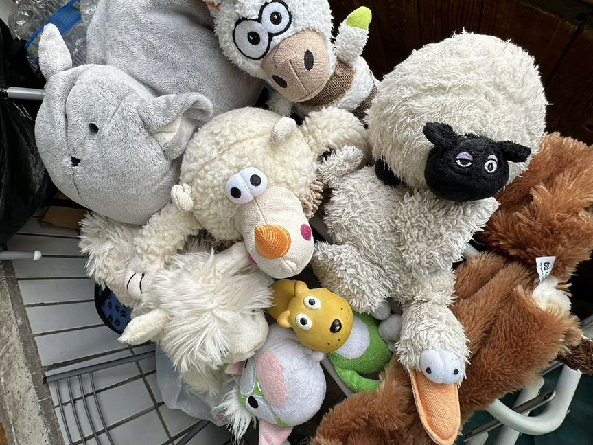 Игрушки для собак с пищалкой 9 шт