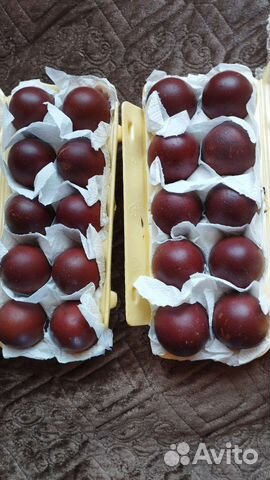 Инкубационное яйцо кур маран