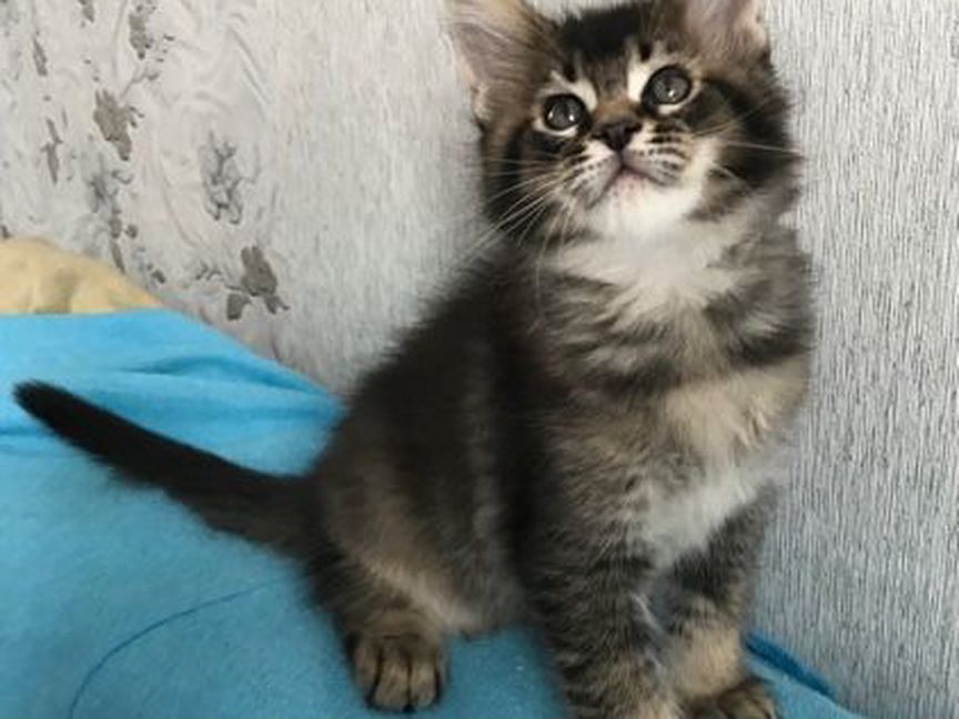 Яркий мальчишка