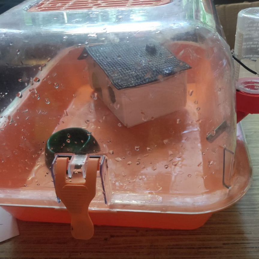 Дюна 39*25 выс 20