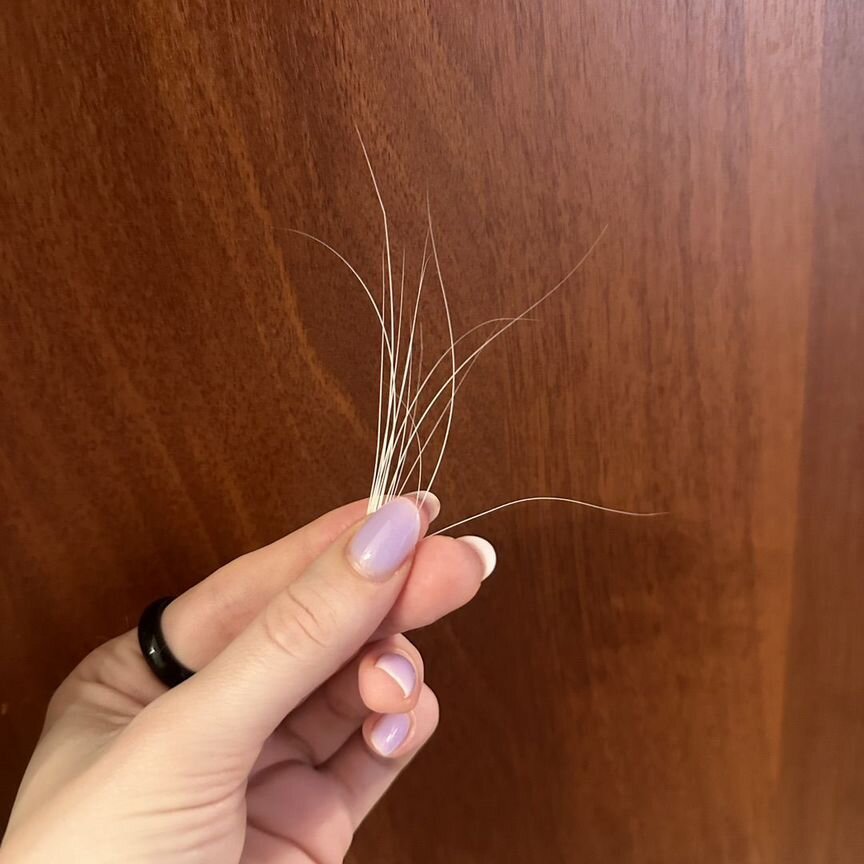 Кошачьи усы