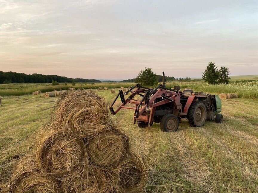 Сено в минирулонах