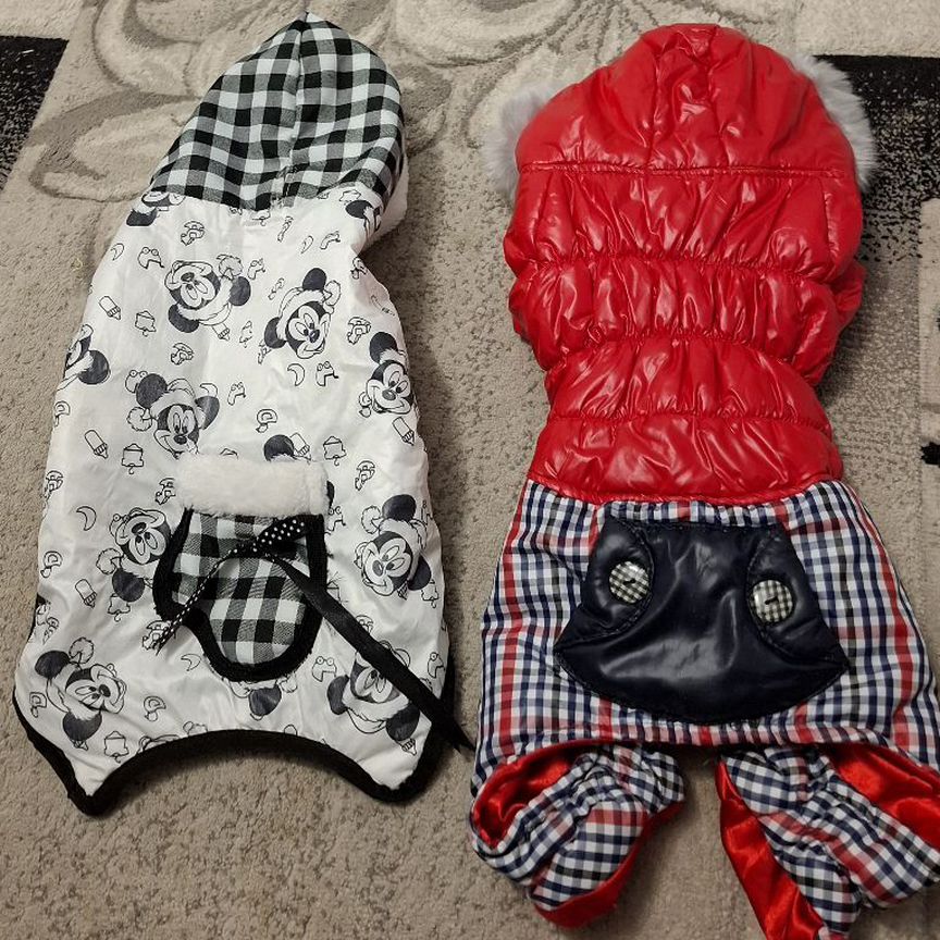 Одежда для маленьких собак