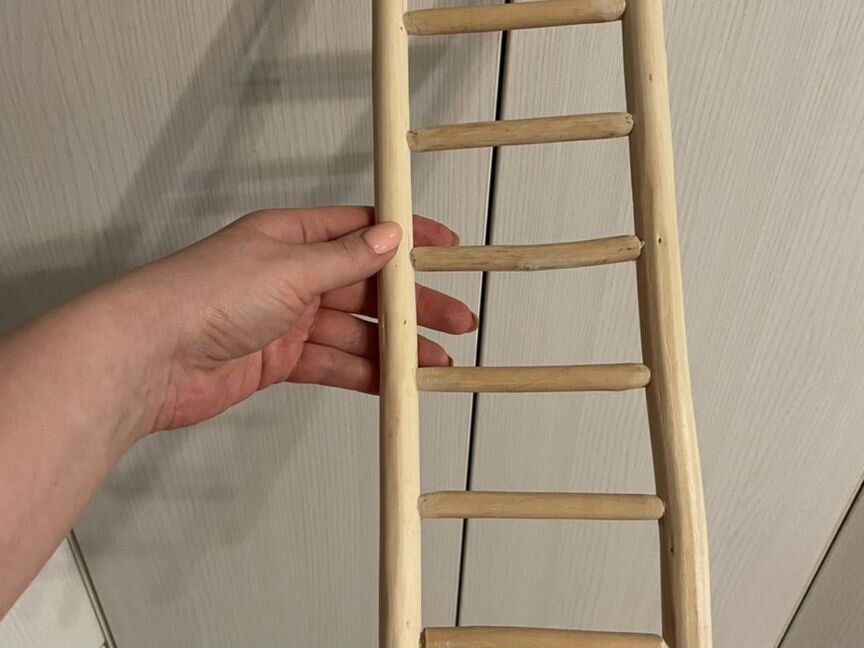 Лестница для птиц и грызунов