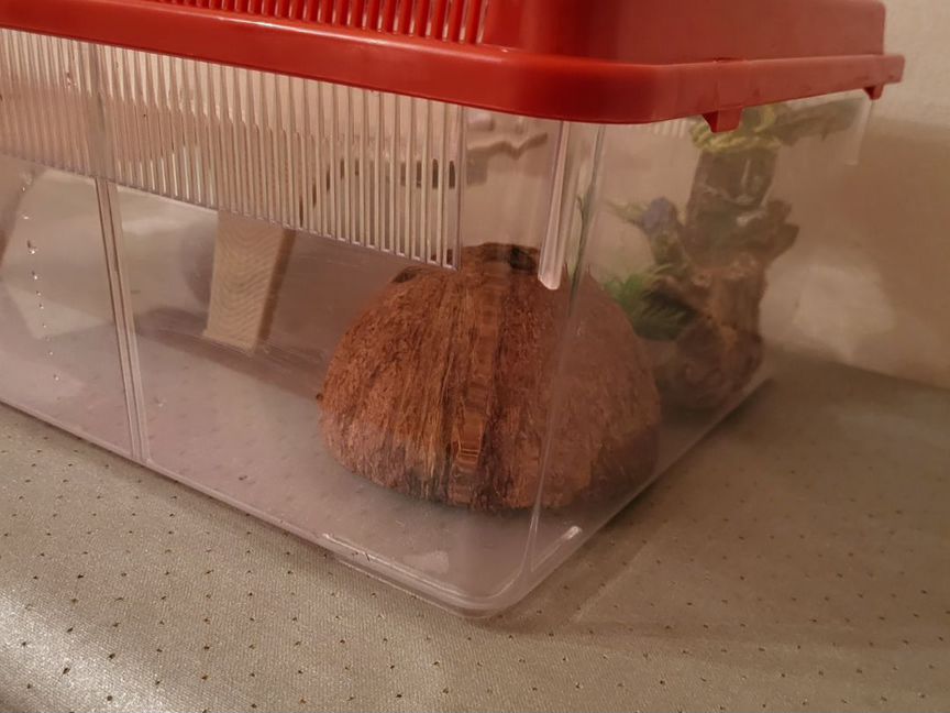 Террариум, фаунариум для пресмыкающихся и земнов