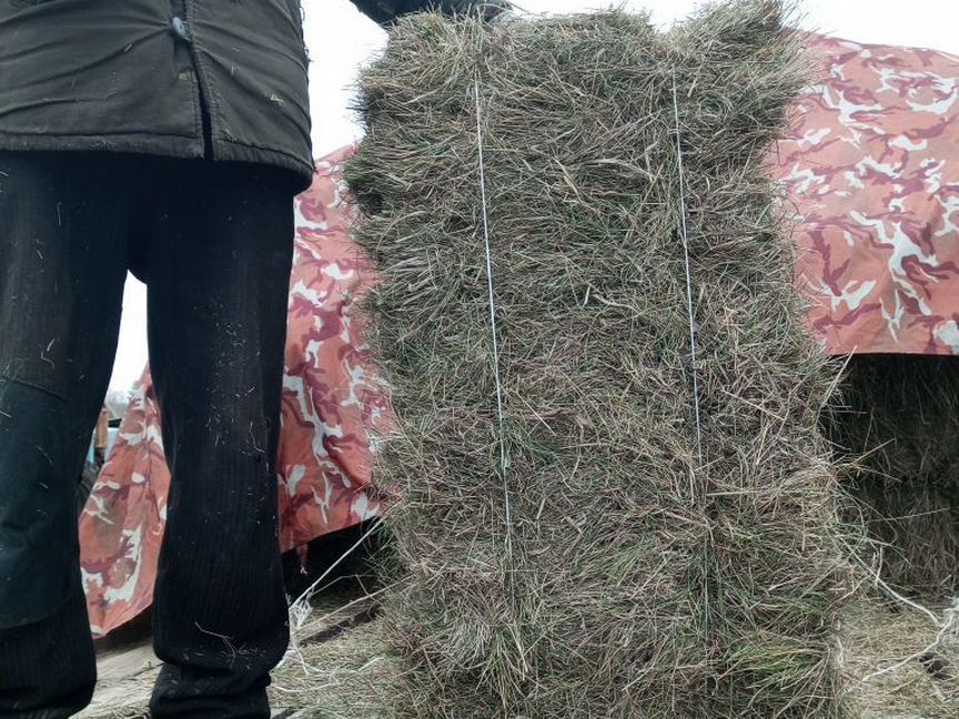 Сено в кипах
