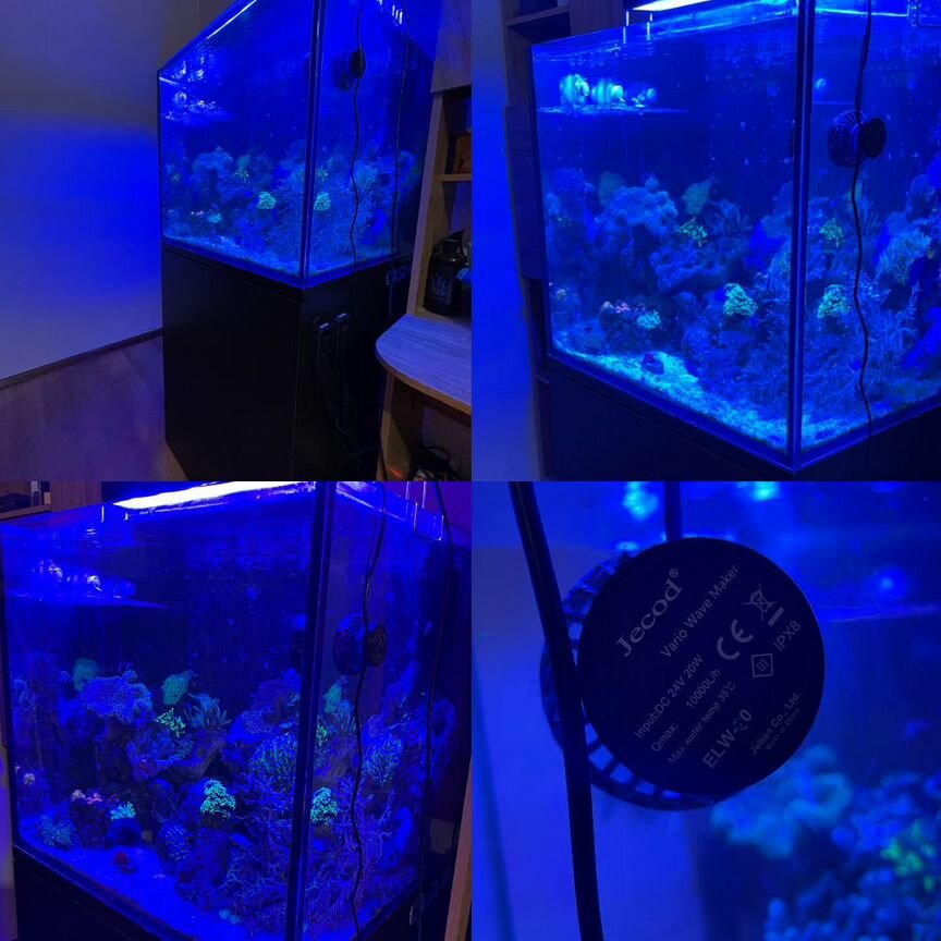 Морской аквариум 220л с кораллами и рыбой