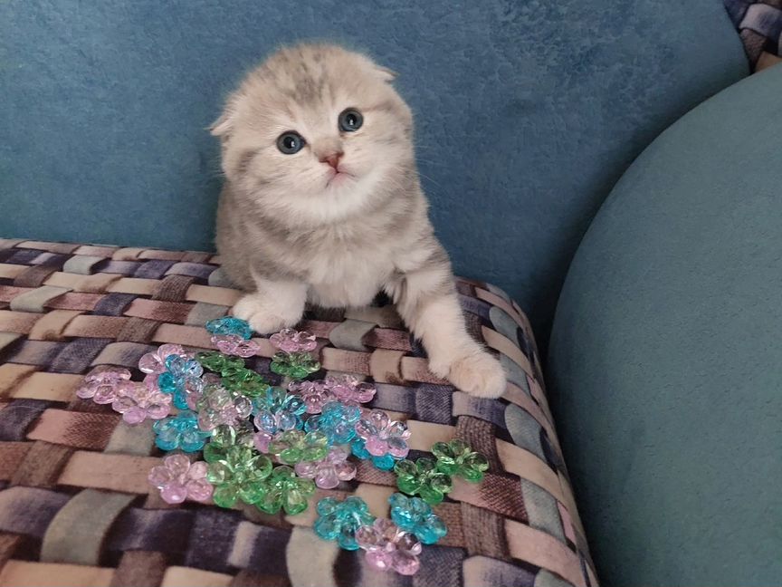 Девочка с документами. Фото реальное