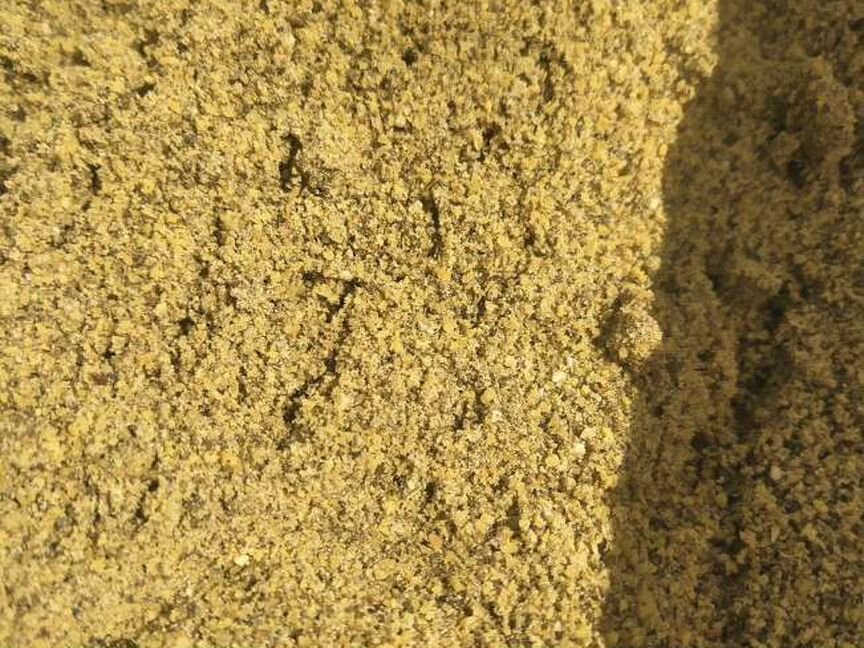 Соя экструдированная