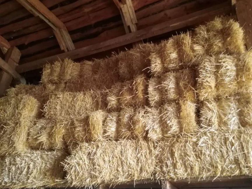 Ячменая солома