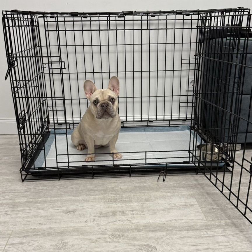 Клетка для собак DogiDom N4