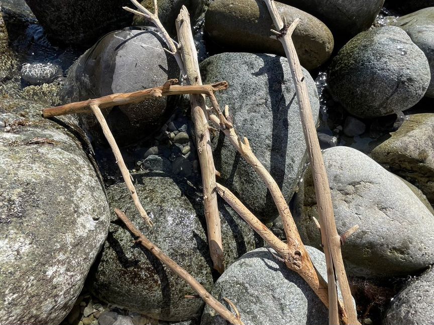 Коряги для террариума, морские топляки