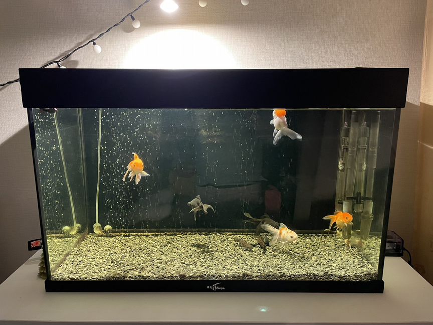 Аквариум 125л. Biodesign