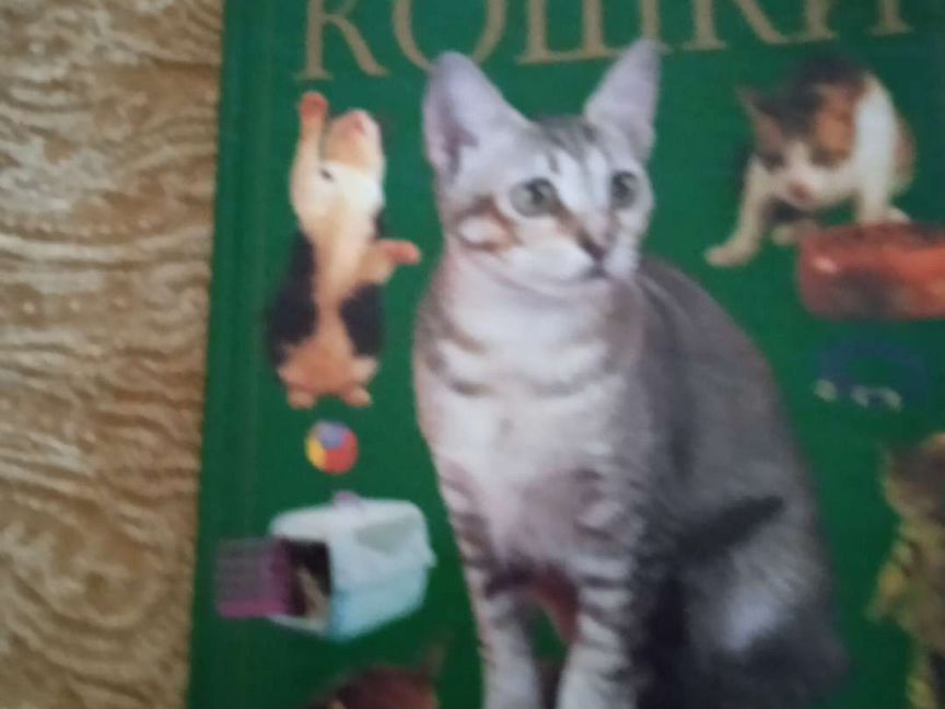 Товары для домашних животных